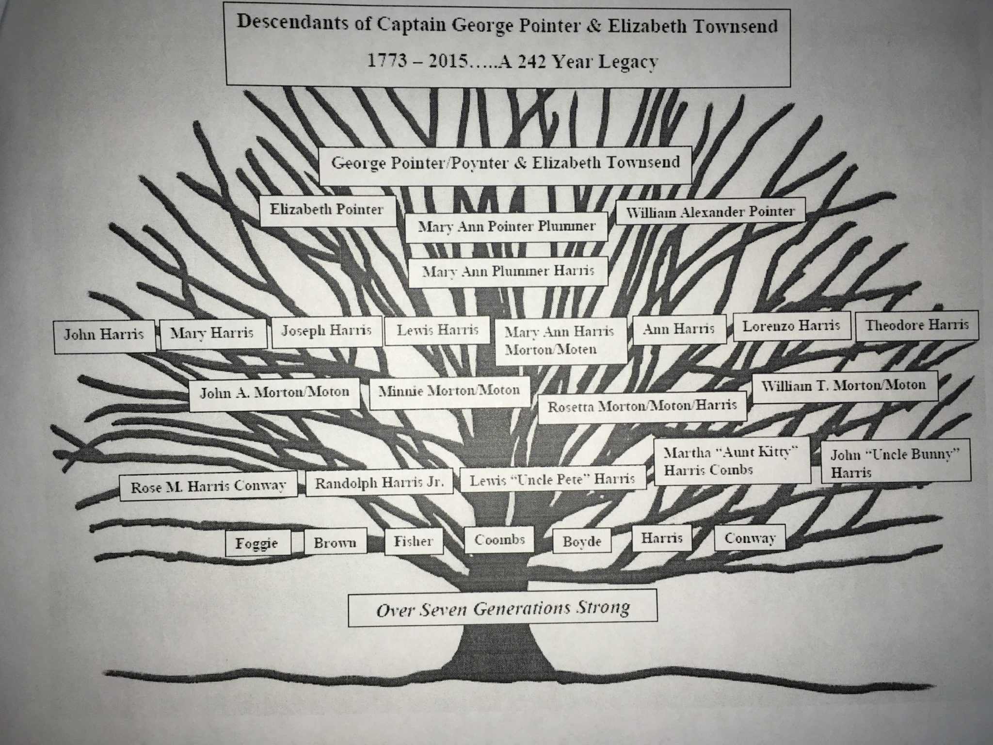 Pointer Descendants 2015 Reunion Picnic Held at Lafayette Park ...